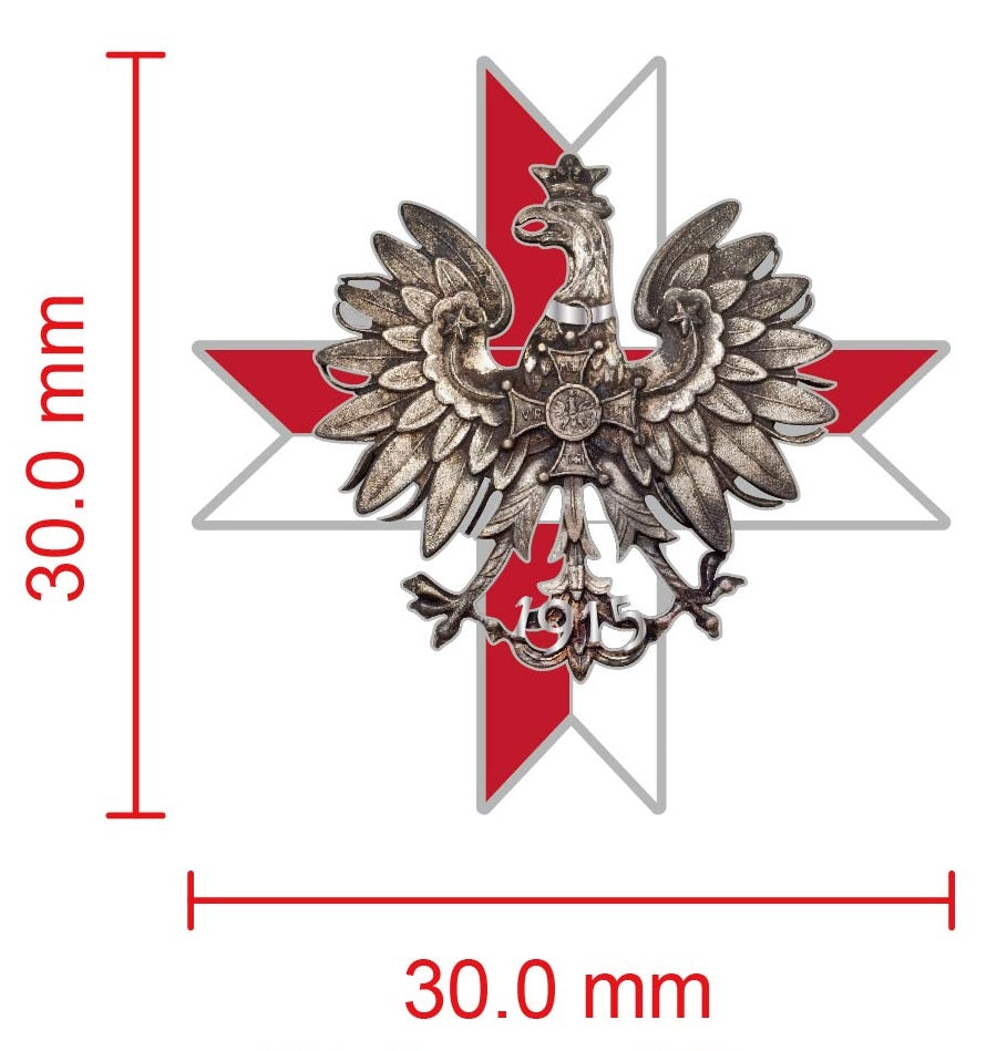 1st Krechowiecki Lancers (Poland) Pocket Badge Lapel Pin – Military ...