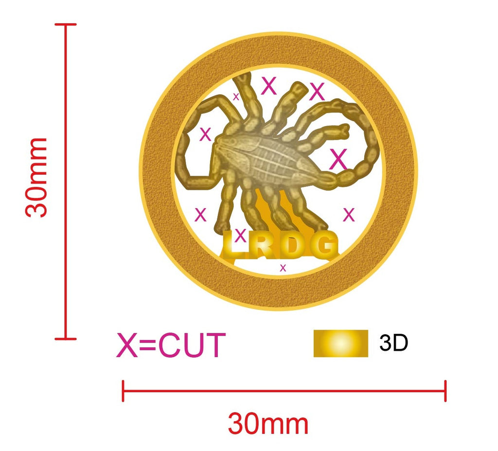 Long Range Desert Group LRDG Unit Lapel Pin – Military Remembrance Pins