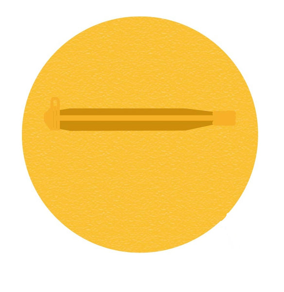 HM Coastguard HMCG 200 Years Lapel Pin – Military Remembrance Pins