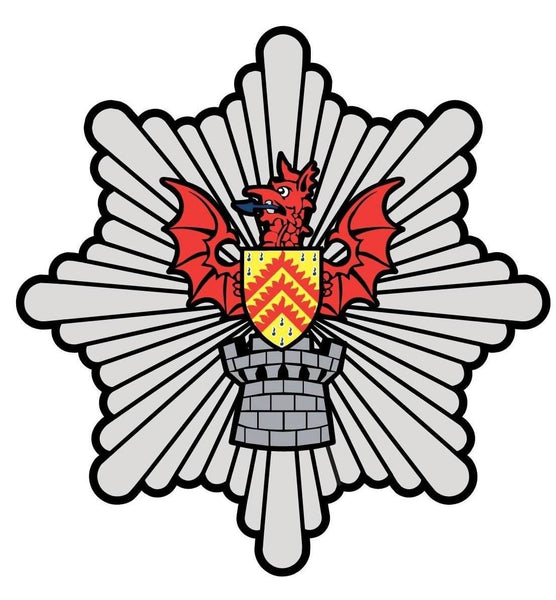 South Wales Fire & Rescue Remembrance Flower Lapel Pin – Military ...